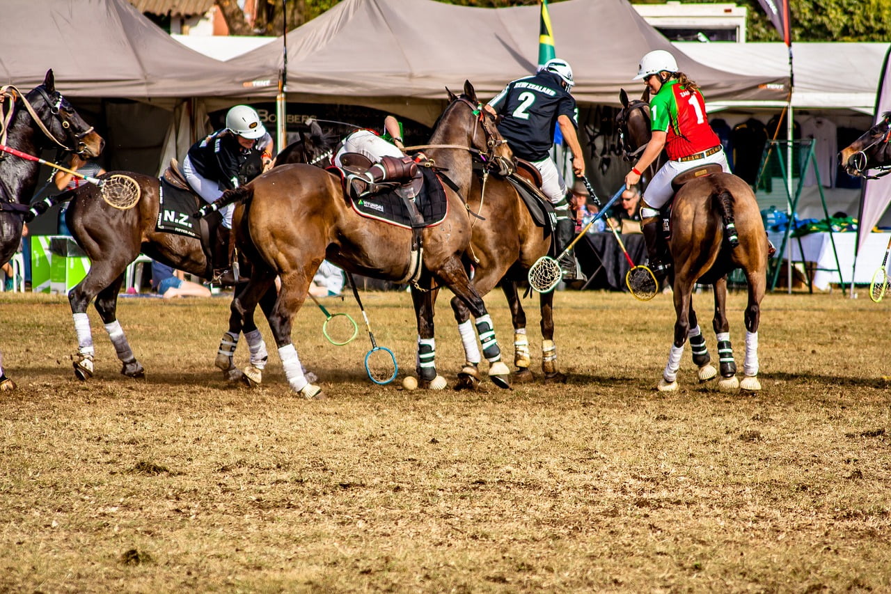 Sustainable Polo Shirts: Everything You Need to Know